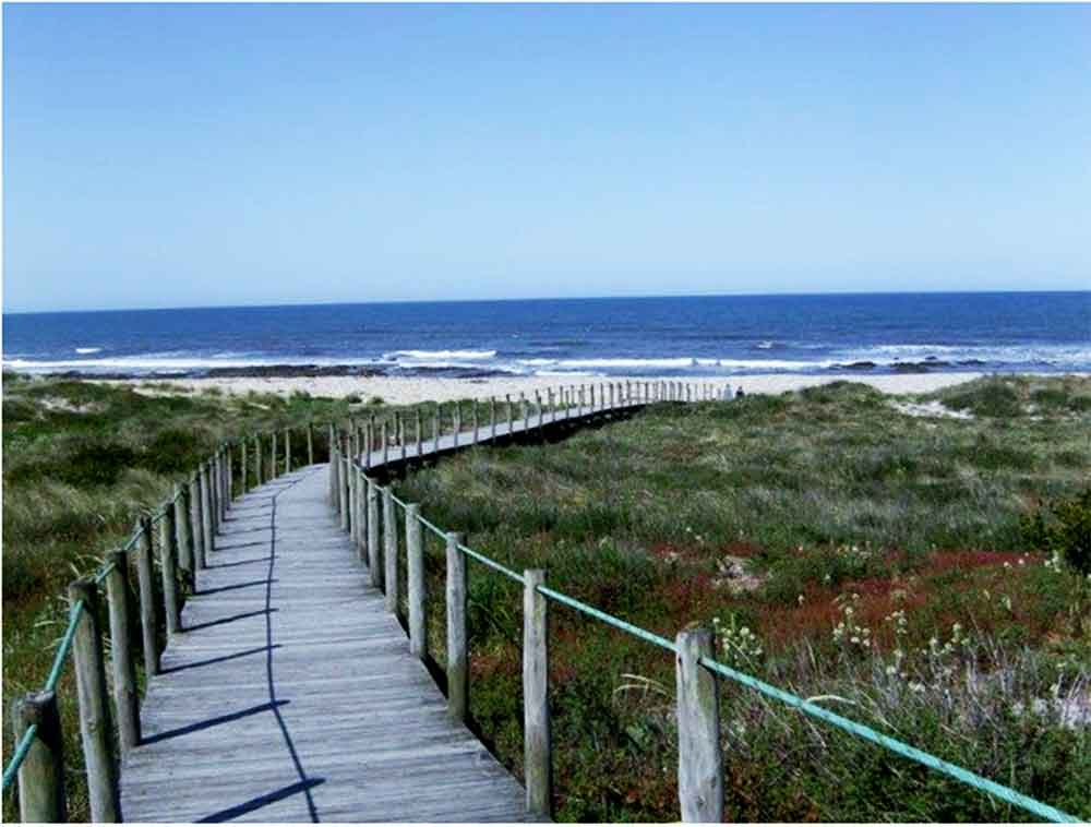 Belinho - Roteiro Campista